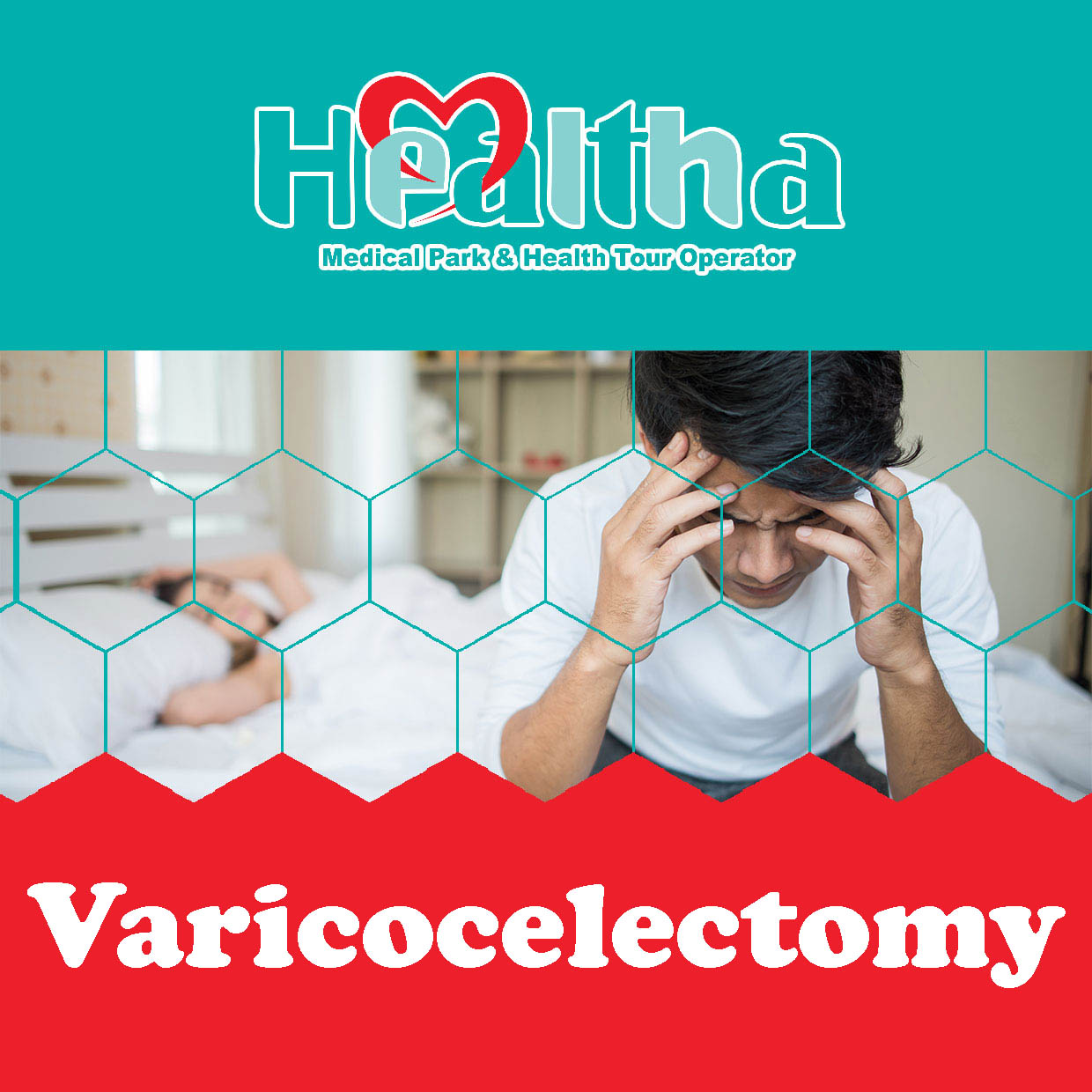 Varicocelectomy (varicocele Surgery) » Healtha - Medical Tourism In Iran